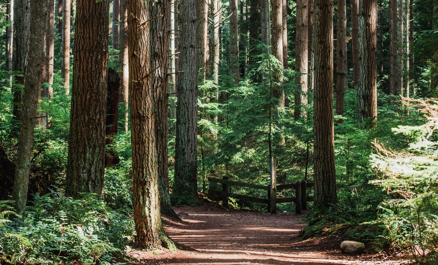Cedar Walk by Polyon | Vancouver Apartments | Polygon Homes