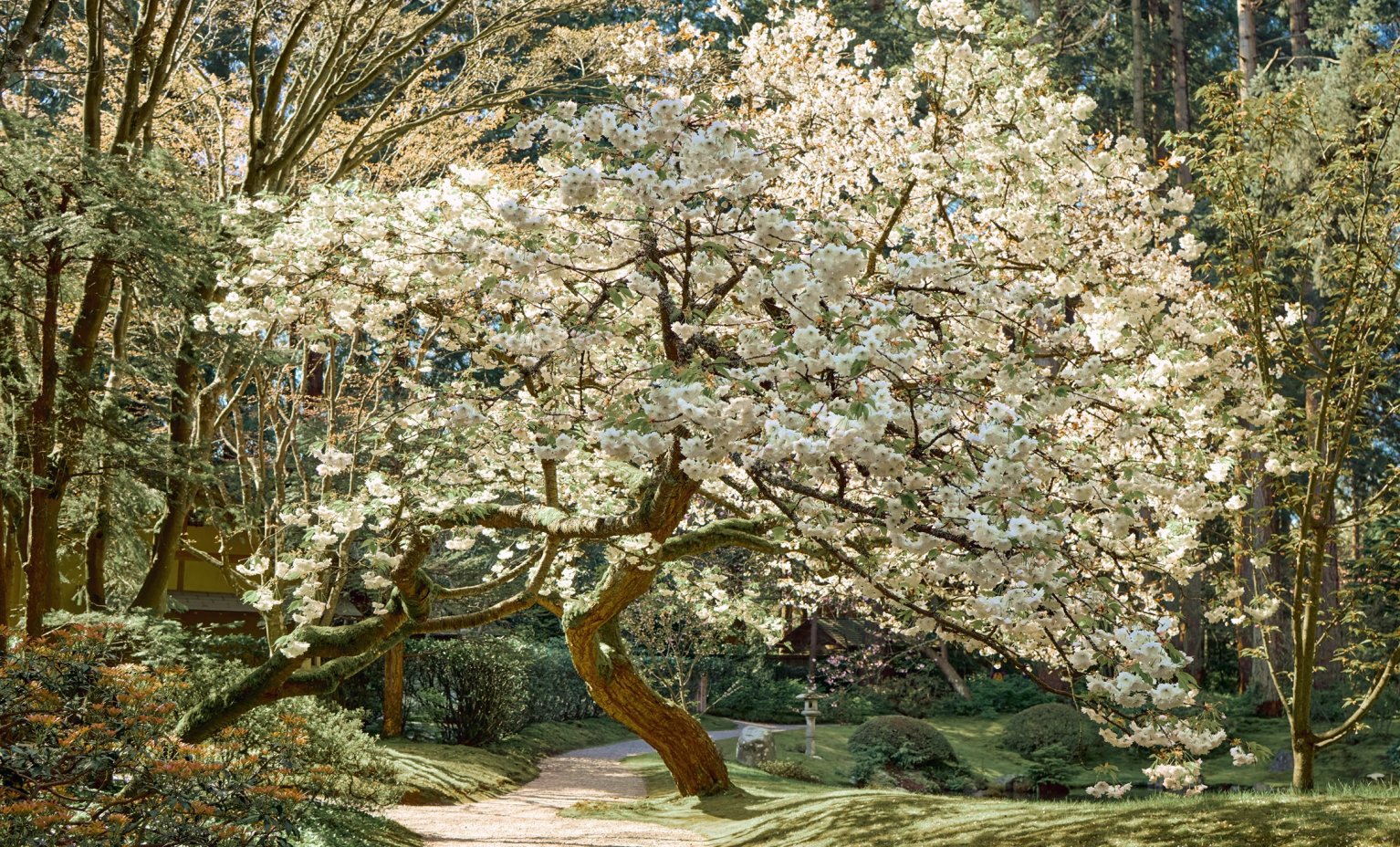 Exeter Hall | Polygon Realty Limited